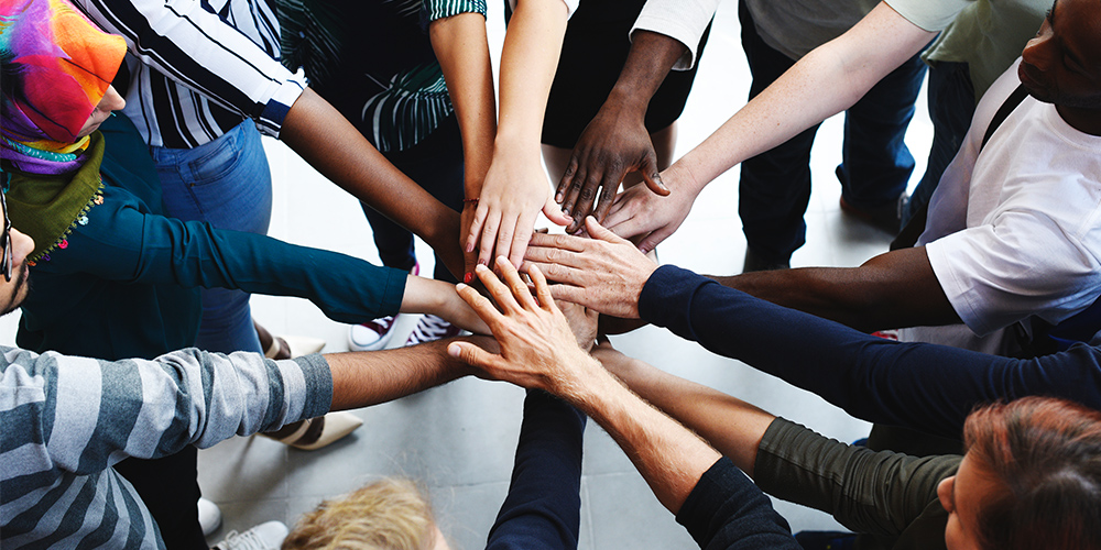 4 Habits of a Highly Successful Organization